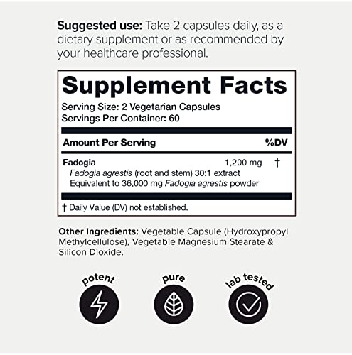 Fadogia Agrestis 1200mg per serving