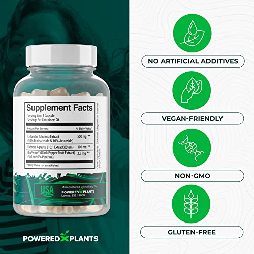 Fadogia Agrestis energy and stamina