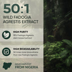 Fadogia Agrestis for energy boost