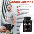 Fadogia Agrestis for enhanced performance