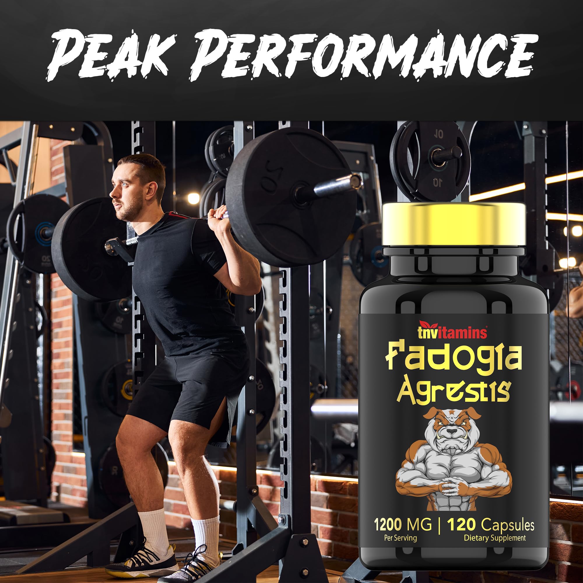 Fadogia Agrestis for improved stamina