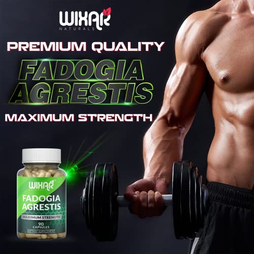 Fadogia Agrestis for muscle building