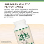 Fadogia Agrestis for vitality
