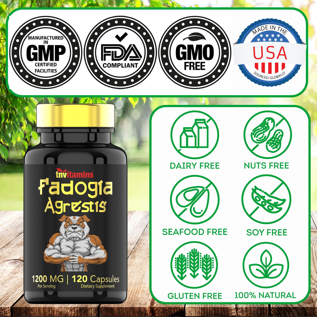 Fadogia Agrestis health benefits for men