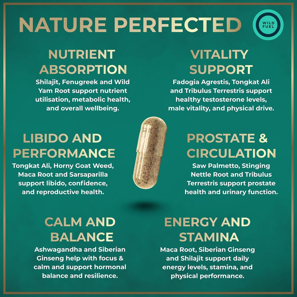 Fadogia Agrestis multivitamin for seniors