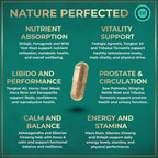 Fadogia Agrestis multivitamin for seniors
