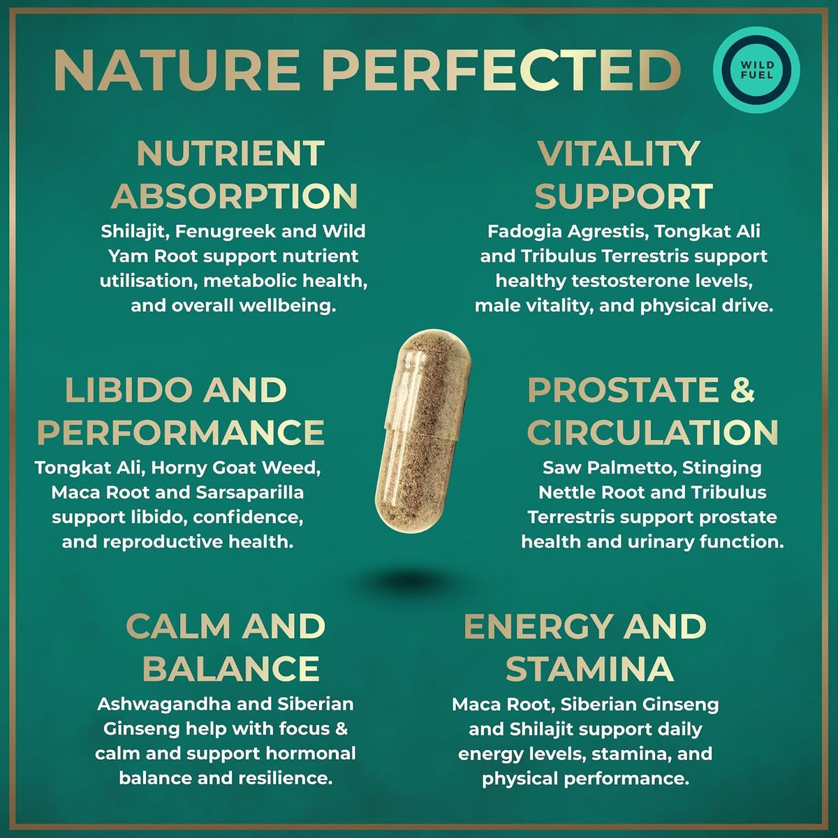 Fadogia Agrestis multivitamin for seniors