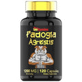 Fadogia Agrestis multivitamins for energy