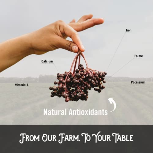 family-friendly elderberry wellness bundle