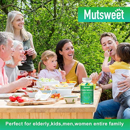family-friendly sea moss mushroom supplement