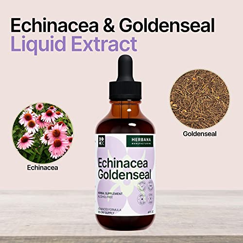 Family size echinacea immune support
