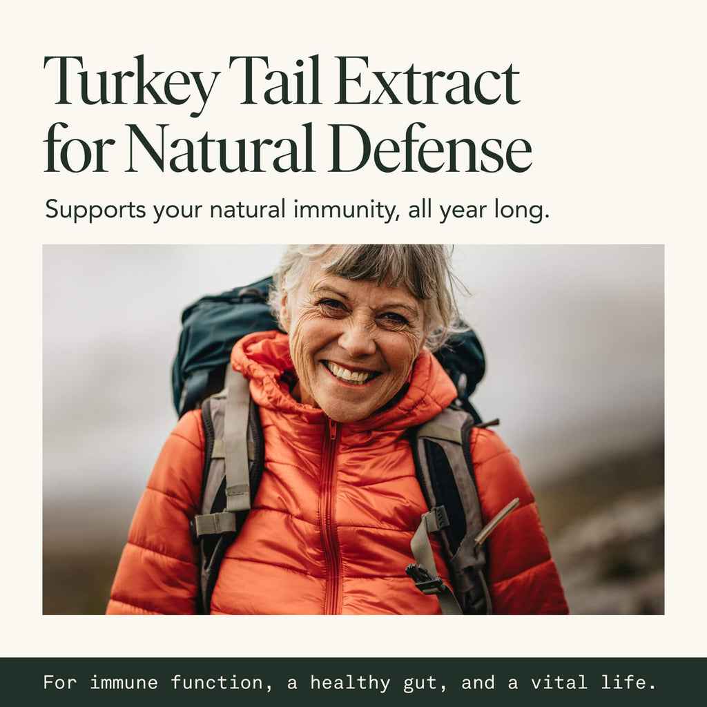 fantastic fungi mushroom health benefits