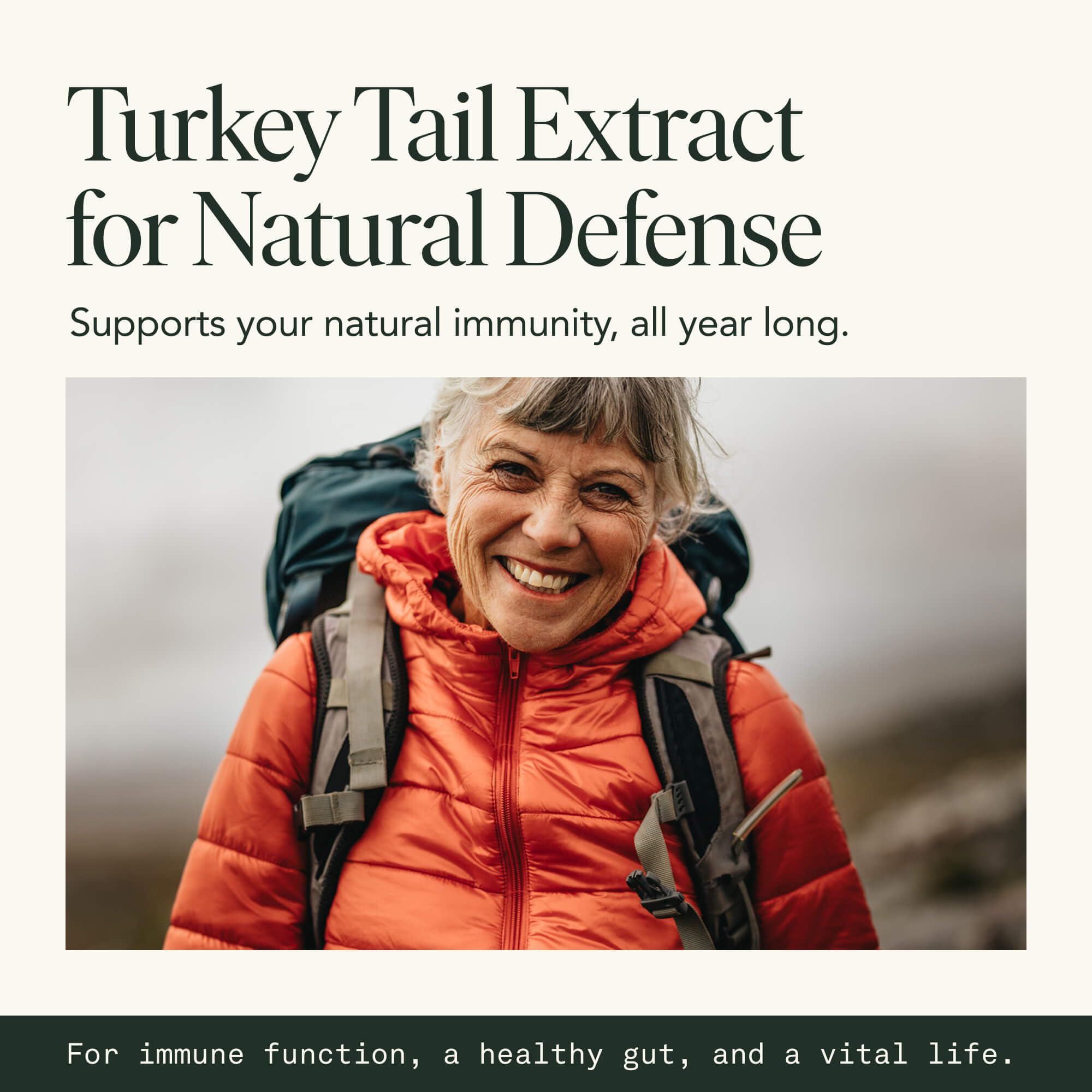fantastic fungi mushroom health benefits
