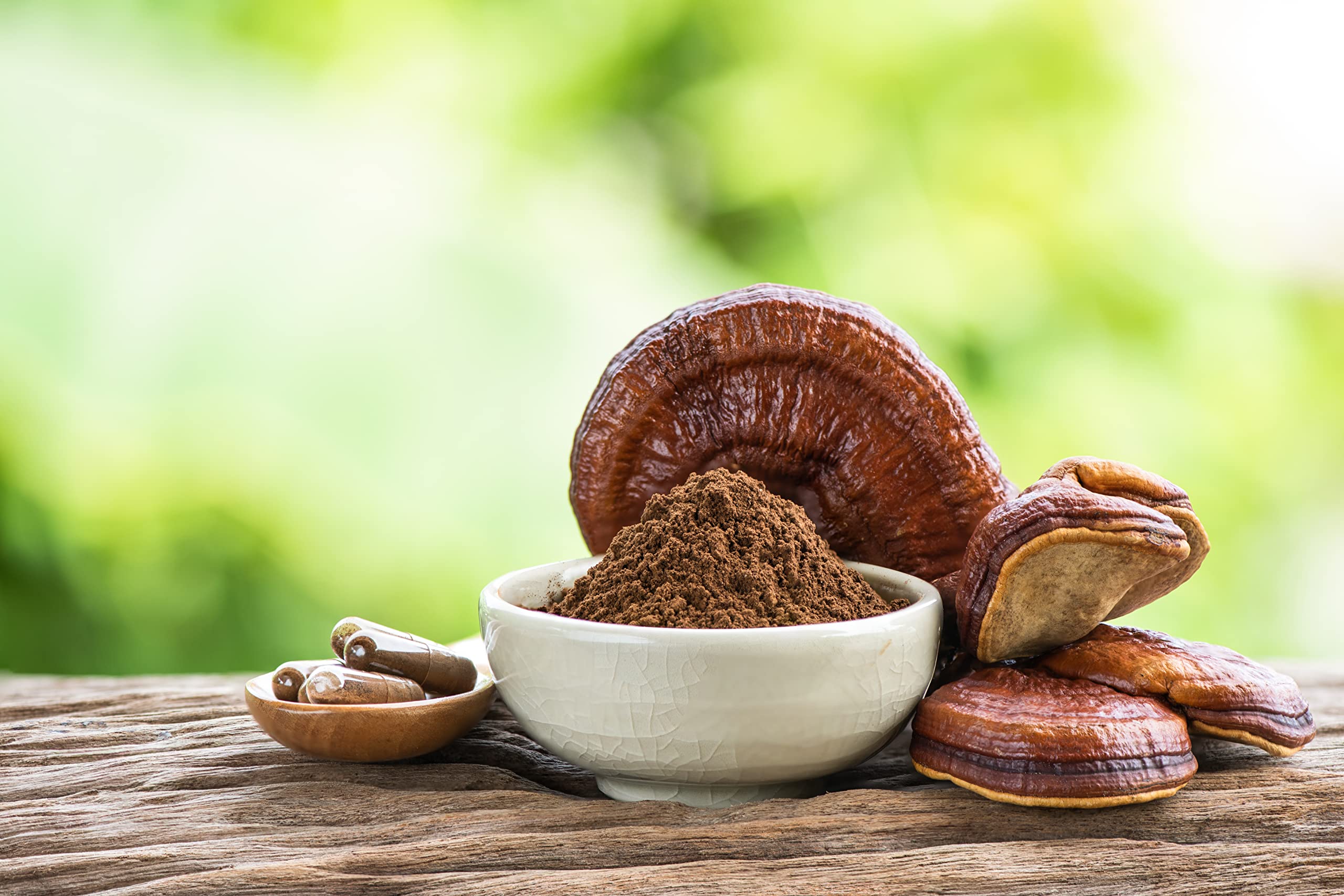 fantastic fungi mushroom health boost