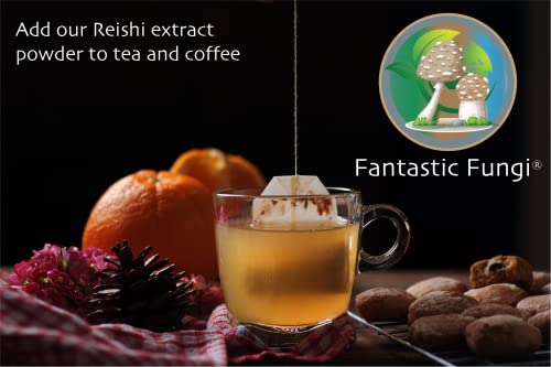 fantastic fungi reishi extract