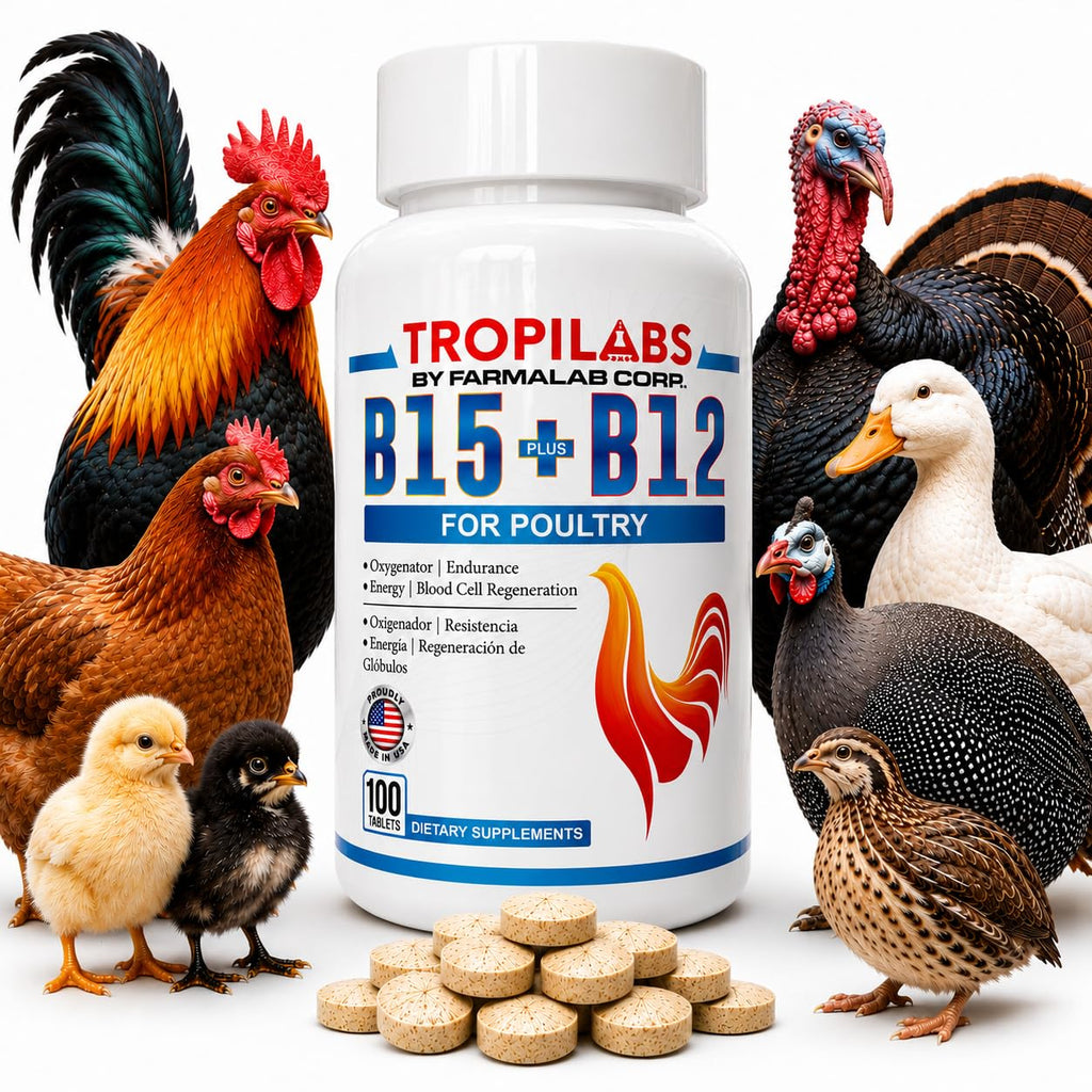 Farmalab B12 tablets for roosters