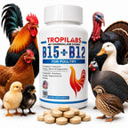Farmalab B12 tablets for roosters