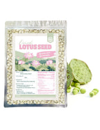 FARMER QUEEN dried lotus seeds for tea