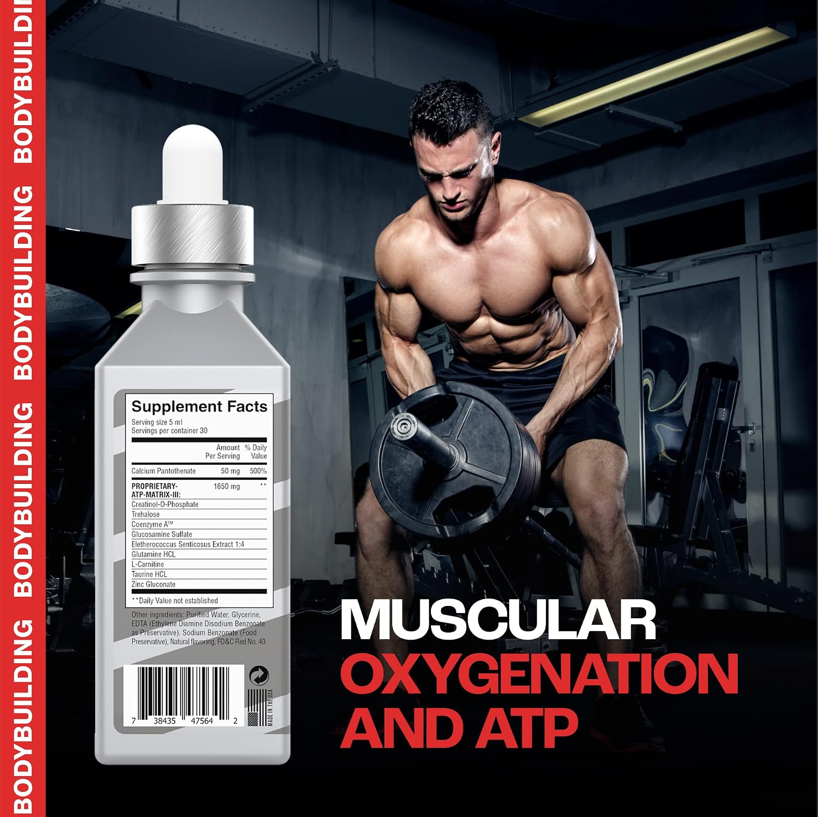 fast-absorbing creatine serum formula