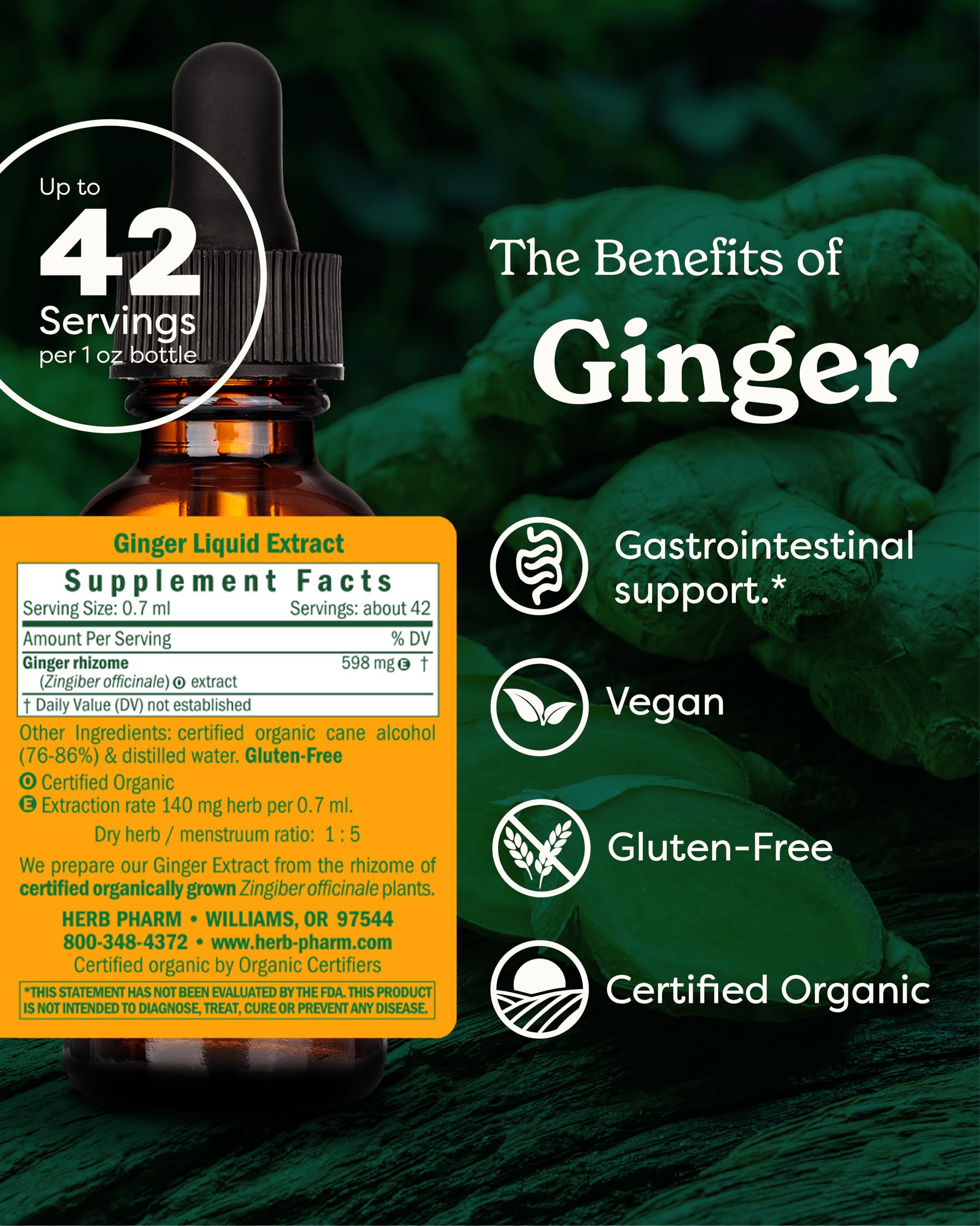 fast-absorbing ginger liquid extract