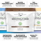 fast absorbing whey protein