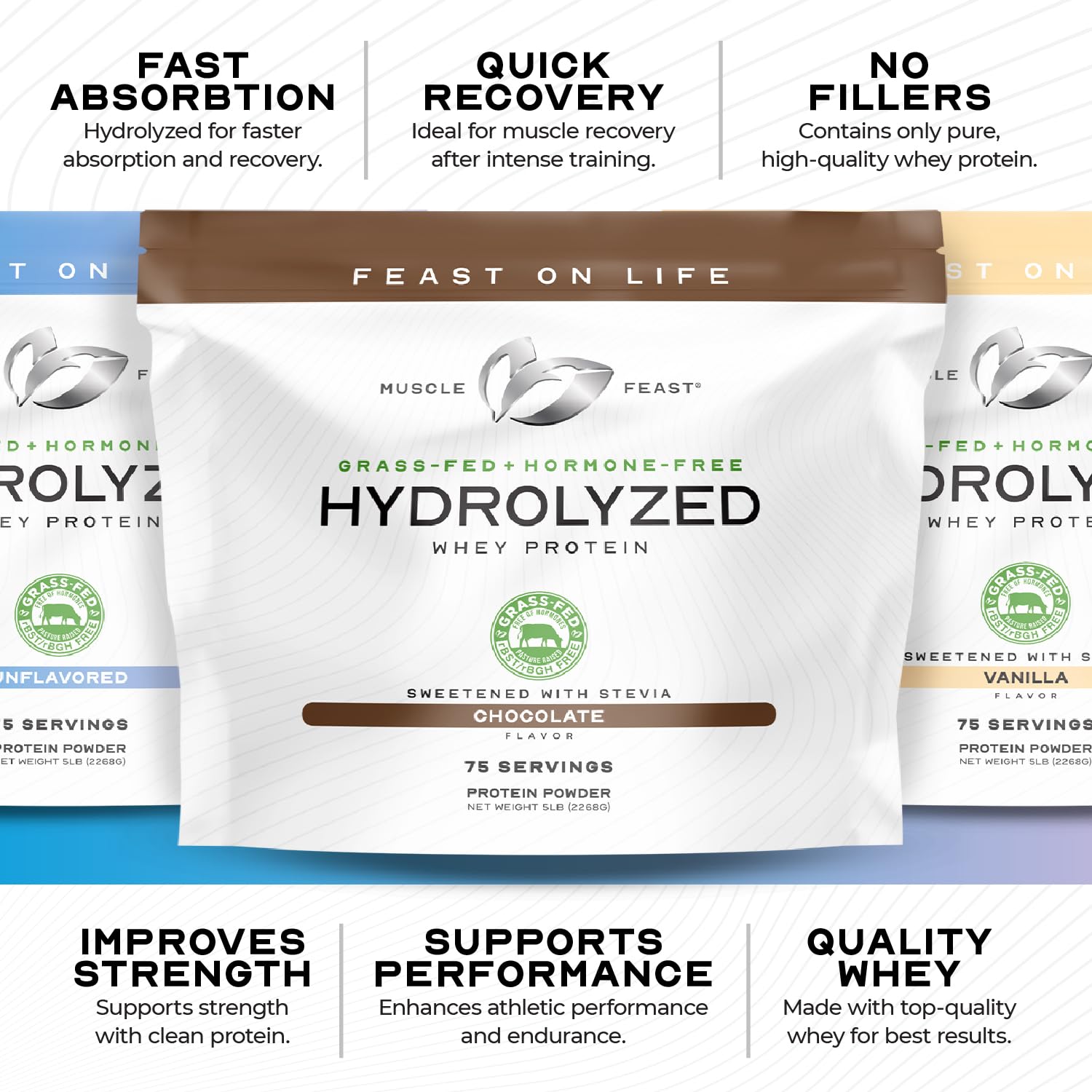 fast absorbing whey protein