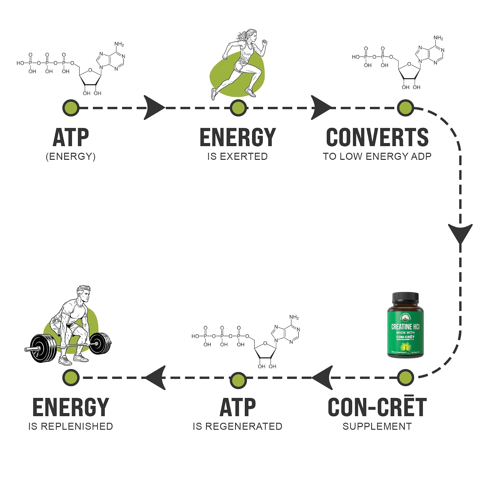 fast-acting creatine for athletes