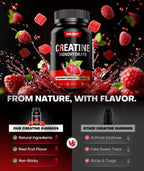 Fast-acting creatine monohydrate supplement