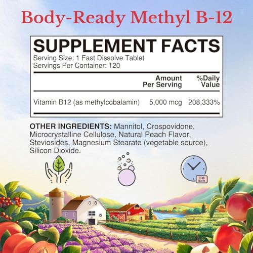 fast dissolve vitamin b12 supplement