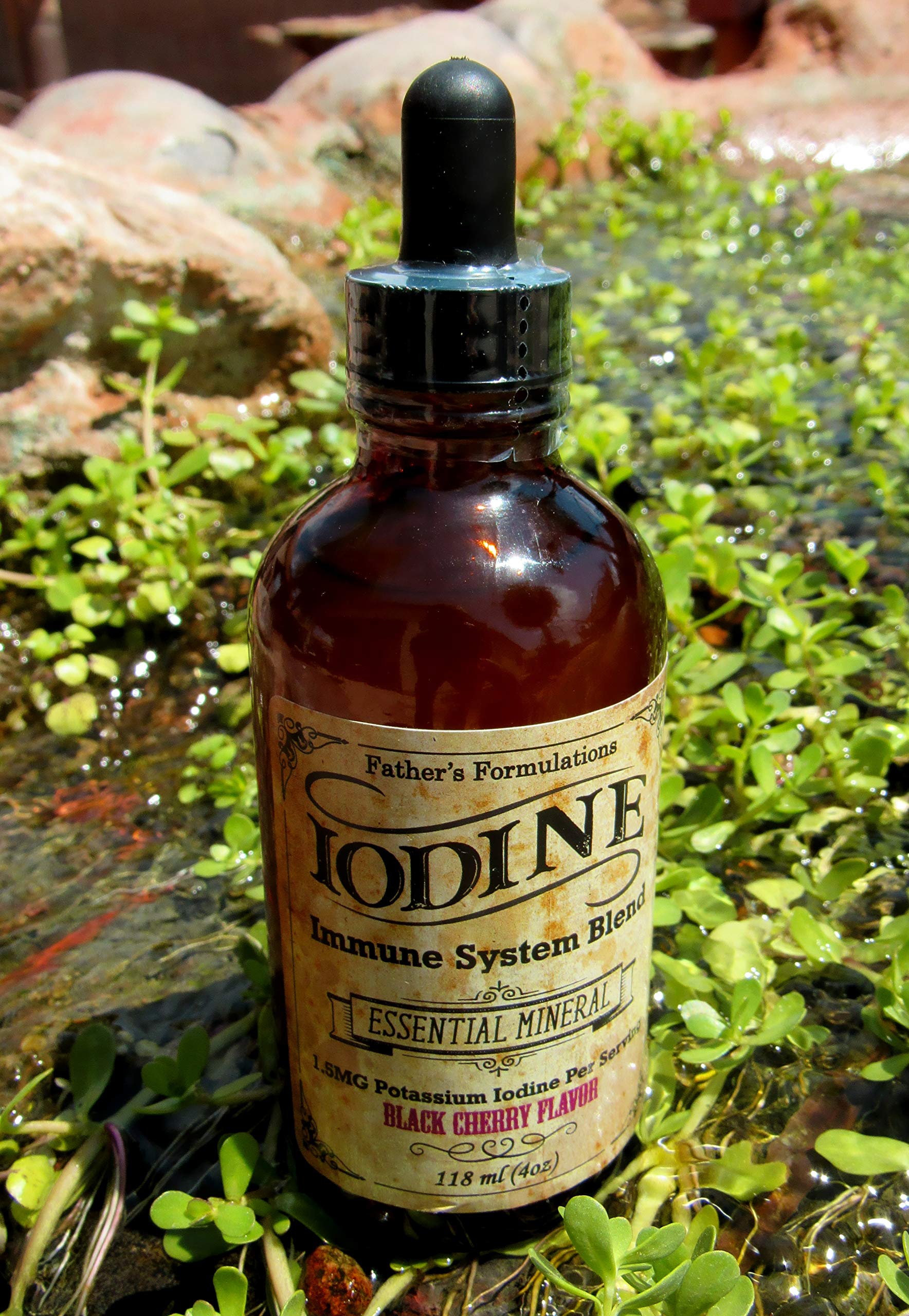 Father's Formulations iodine for energy support