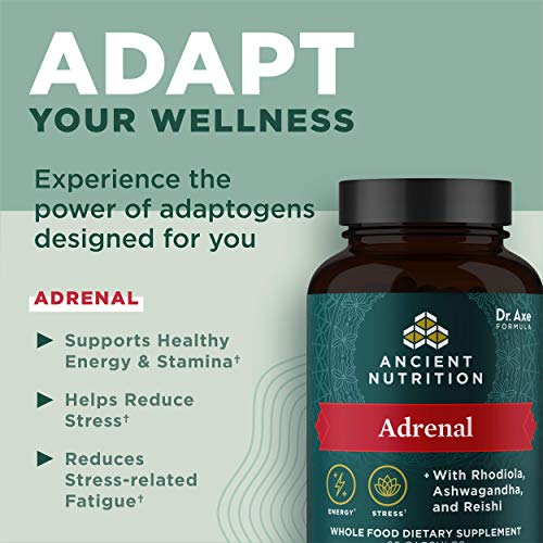fatigue reduction with adrenal extracts