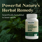 Fatigue supplement for busy lifestyles