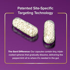 FDgard capsules for digestive wellness
