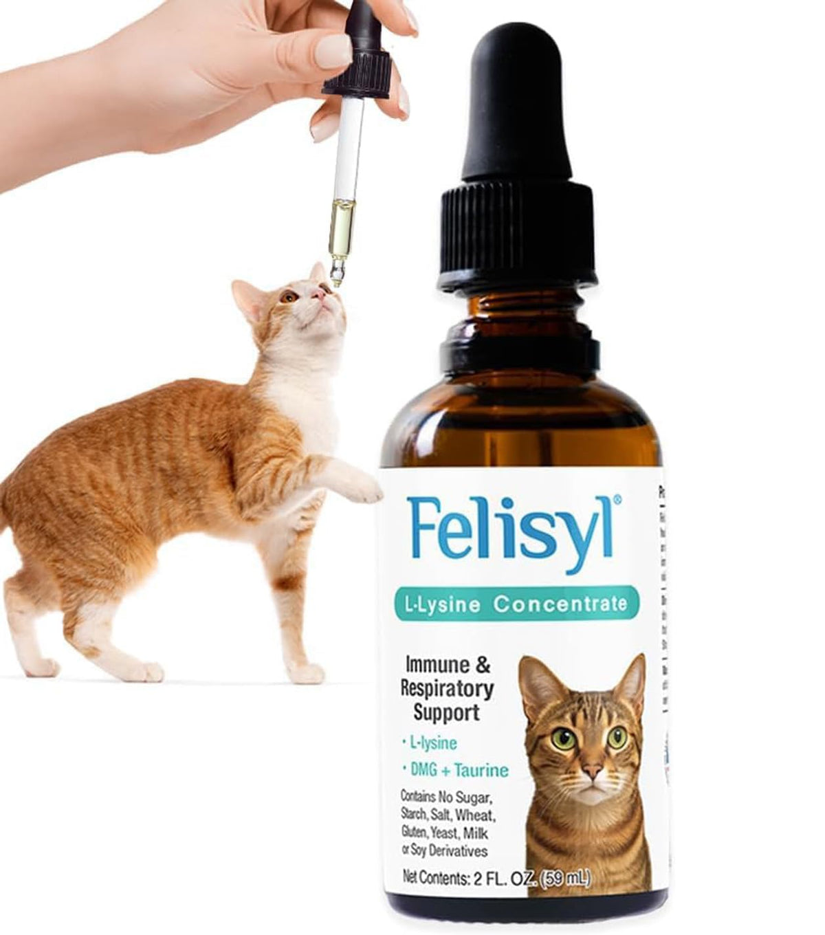 Felisyl L-Lysine for healthy cats