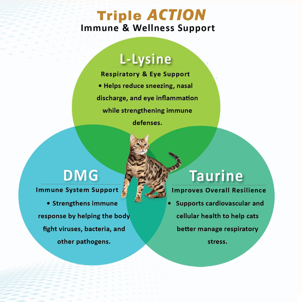Felisyl L-Lysine for respiratory health