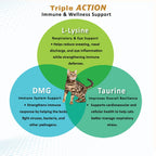 Felisyl L-Lysine for respiratory health