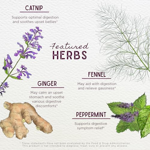 fennel and ginger stomach support