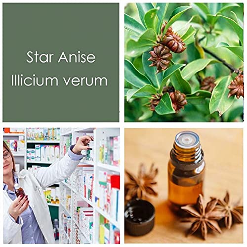 fennel infused vitamin and mineral blend