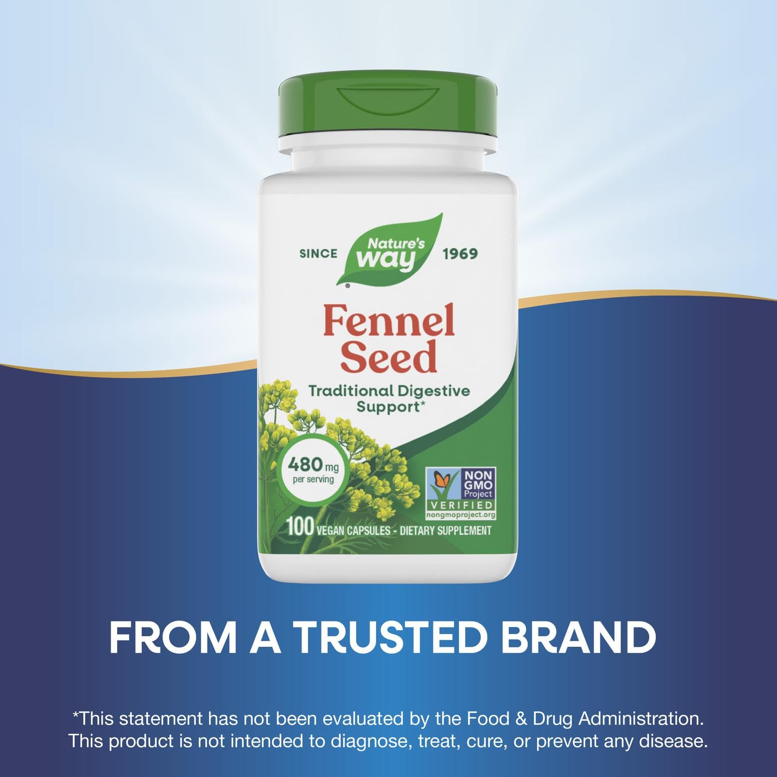 Fennel seed benefits for wellness