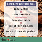 Fennel seed extract for wellness