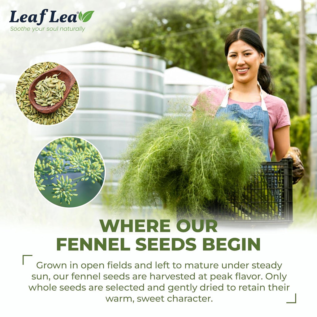 fennel seed tea for relaxation