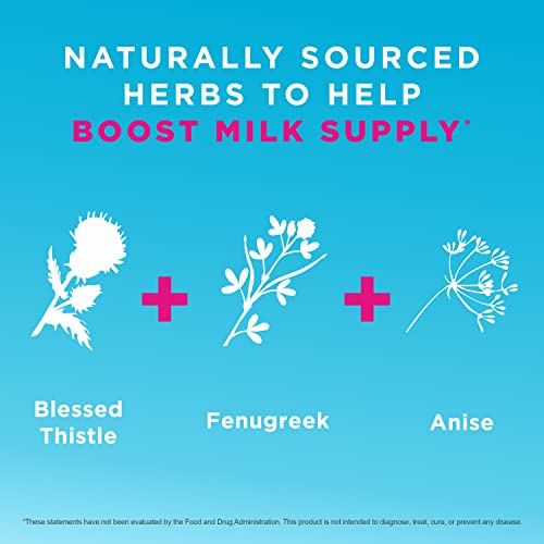 Fenugreek and blessed thistle blend
