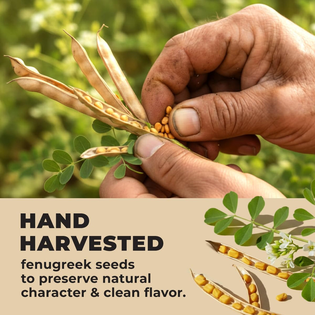 Fenugreek tea bags for healthy lifestyle