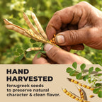 Fenugreek tea bags for healthy lifestyle
