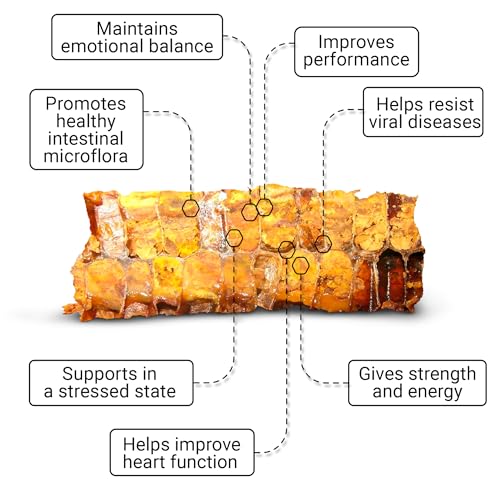 Fermented bee pollen for holistic nutrition