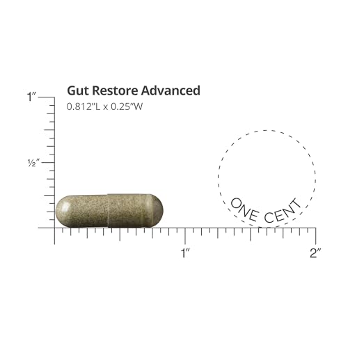 fermented botanicals for enhanced gut function