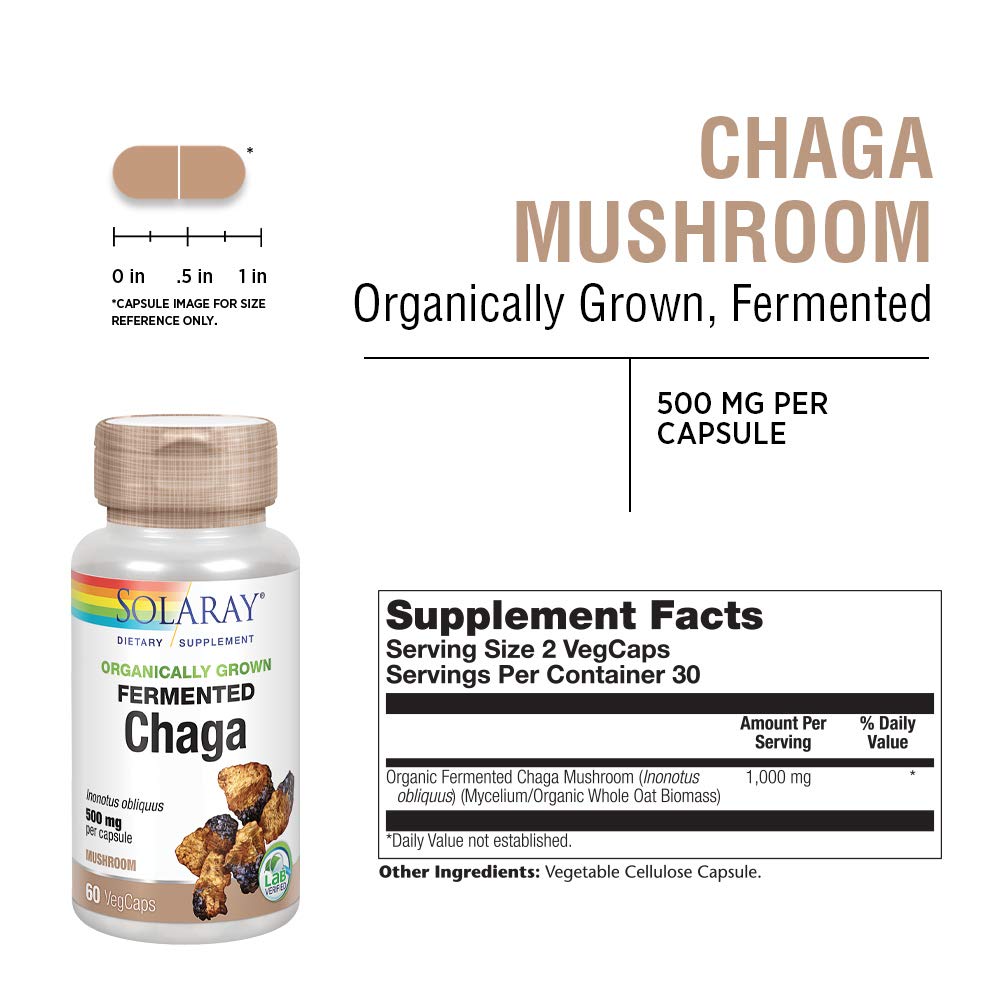fermented chaga for wellness