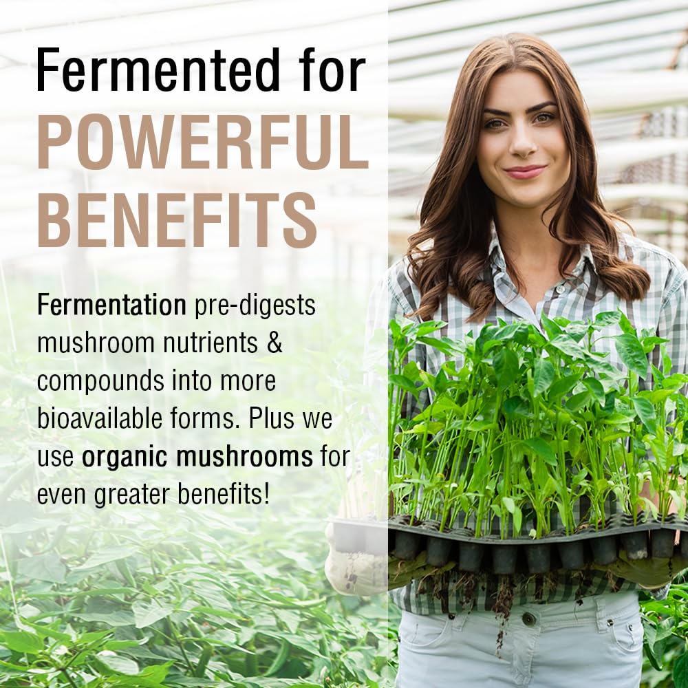 fermented chaga mushroom for digestive health
