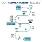 Fermented cod liver oil gel