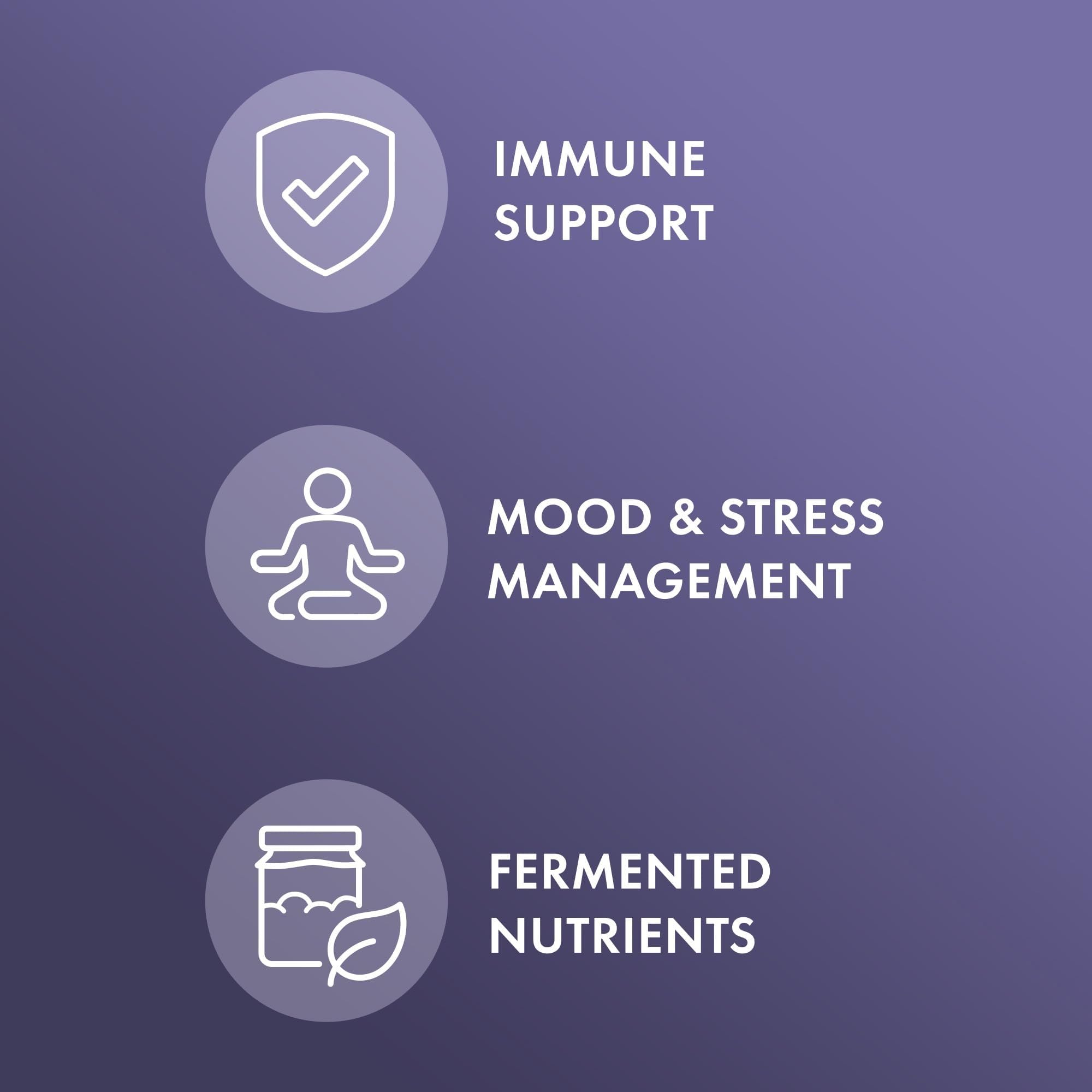 fermented elderberry capsules for health